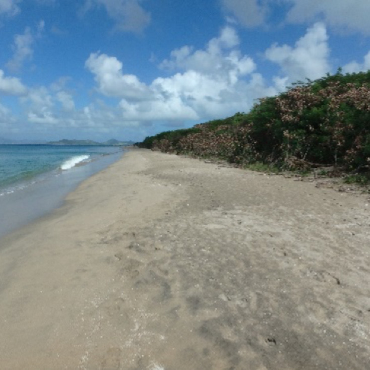 PINNEYS BEACH AND ESTATE, ST. THOMAS, NEVIS - Charterland